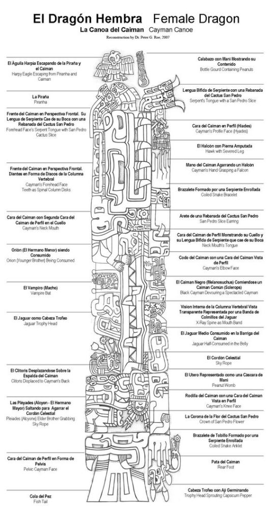 Cultura Chavín – ReydeKish – Historias de la Antigüedad